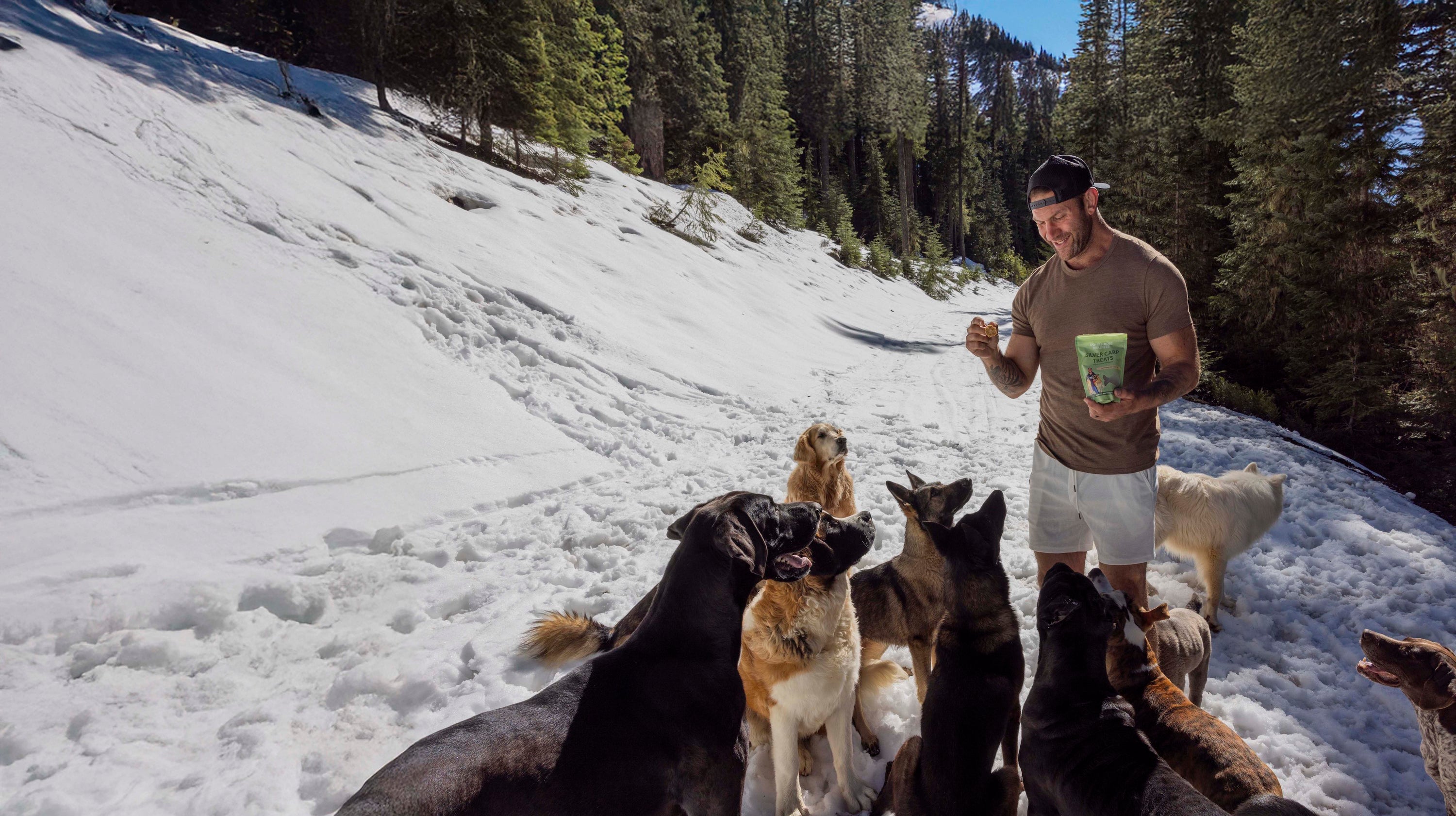 Asher House Wellness – Asher House Wellness